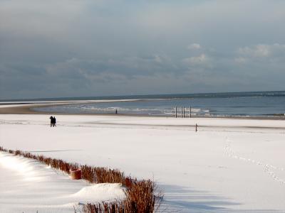 Kostenloses Foto: Amrum im Winter - pixelio.de