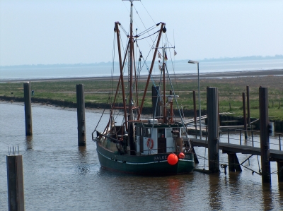 Kostenloses Foto: Ferig zum Krabbenfang - pixelio.de