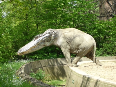 Kostenloses Foto: Krokofant - pixelio.de