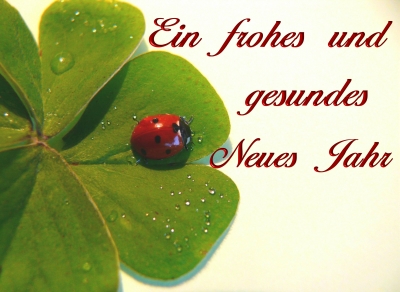 Faszinierend Wir Wunschen Euch Ein Gesundes Neues Jahr Bild