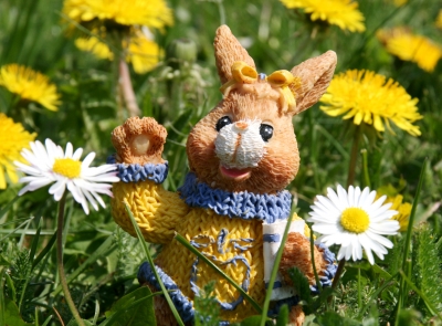 Kostenloses Foto: winke, winke ... ;) - pixelio.de