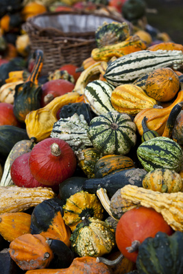 Kostenloses Foto: Zierde - pixelio.de