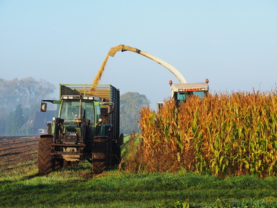 Kostenloses Foto: maisernte - pixelio.de