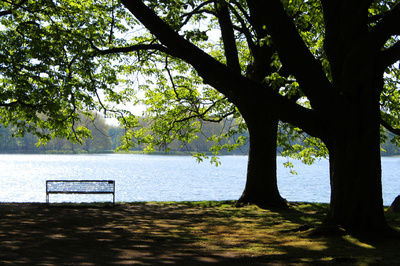 Kostenloses Foto: RUHE UND ERHOLUNG I - pixelio.de